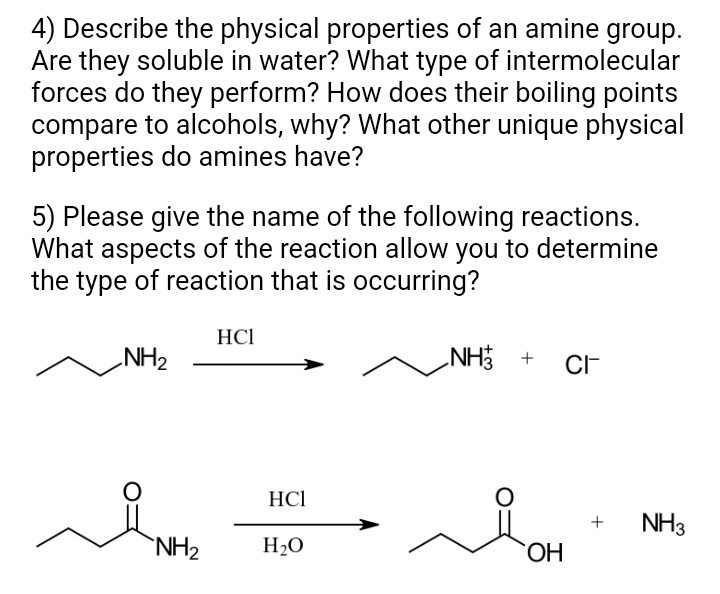 Solved 1) Explain the difference between an amine functional | Chegg.com
