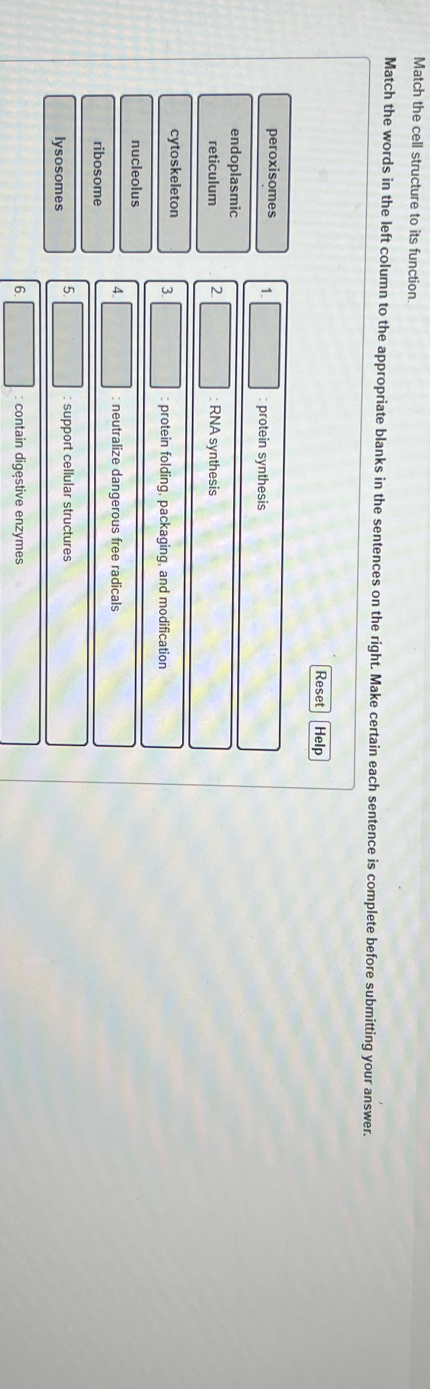 Solved Match the cell structure to its function.Match the | Chegg.com