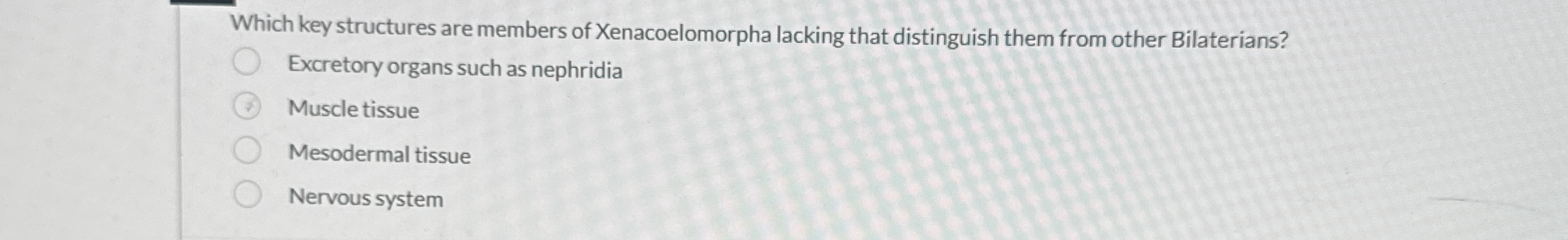 Solved Which key structures are members of Xenacoelomorpha | Chegg.com