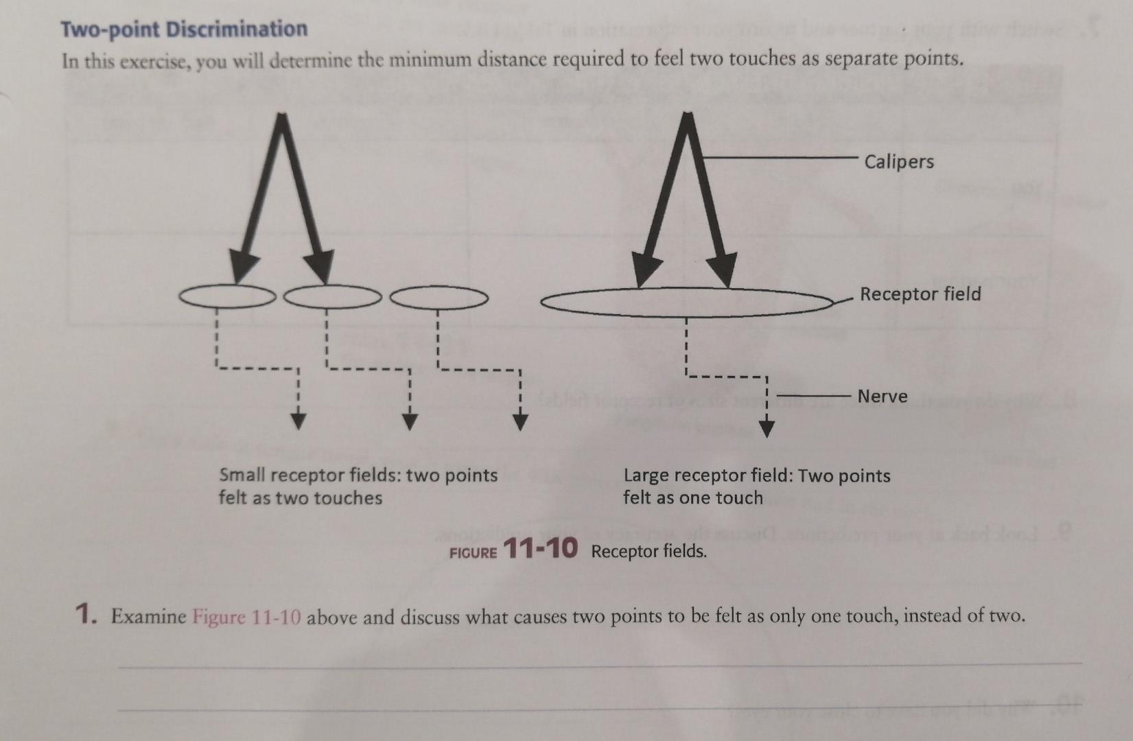 Solved Two-point Discrimination In this exercise, you will | Chegg.com