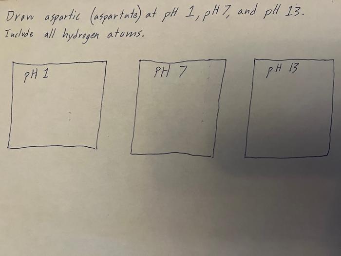 Solved Draw aspartic (aspartate) at pH1,pH7, and pH13. | Chegg.com