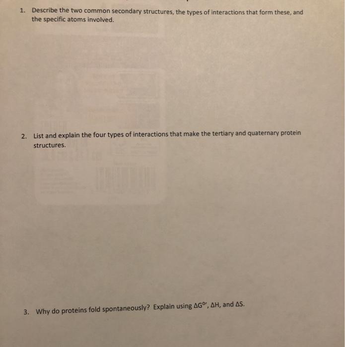 Solved 1. Describe the two common secondary structures, the | Chegg.com