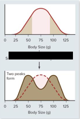Solved -Name the type of selection displayed below, and | Chegg.com