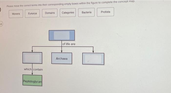 Solved Please move the correct terms into their | Chegg.com