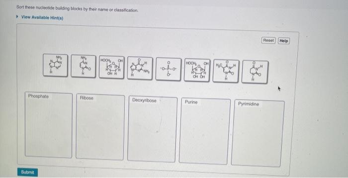 Solved Sort these nucleotide building blocks by their name | Chegg.com