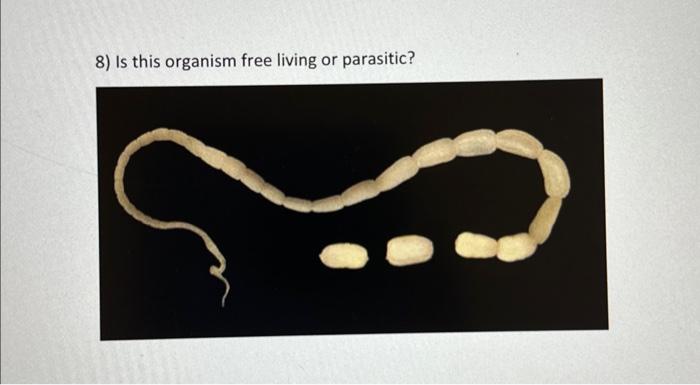 Solved 8) Is this organism free living or parasitic? | Chegg.com