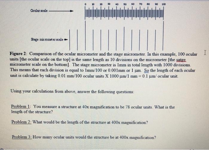 Solved Figure 2: Comparison of the ocular micrometer and the | Chegg.com