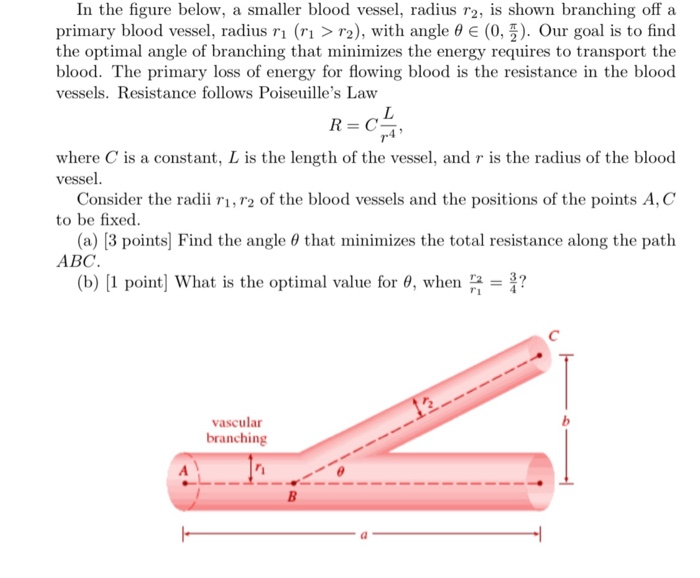 Solved In the figure below, a smaller blood vessel, radius | Chegg.com