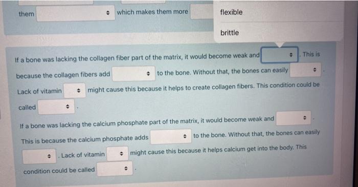 Solved 수 This is If a bone was lacking the collagen fiber | Chegg.com