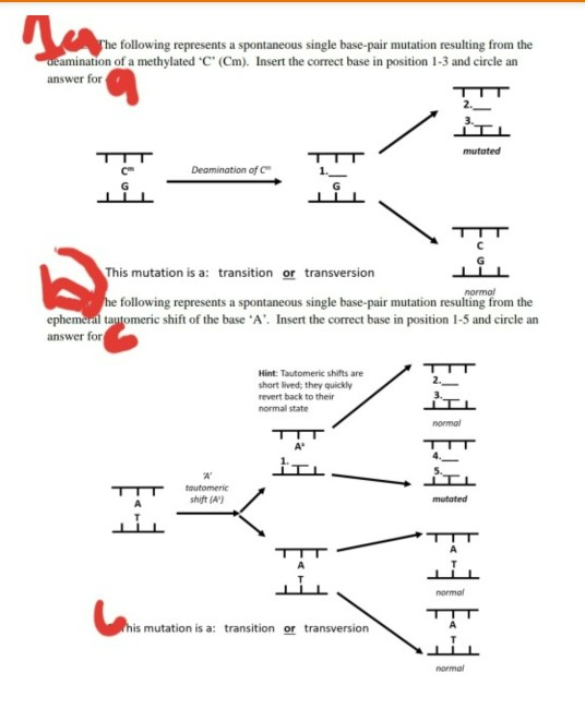 Solved The Following Represents A Spontaneous Single 0716
