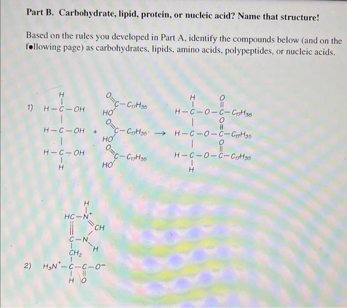 Solved Part B. Carbohydrate, lipid, protein, or nucleic | Chegg.com