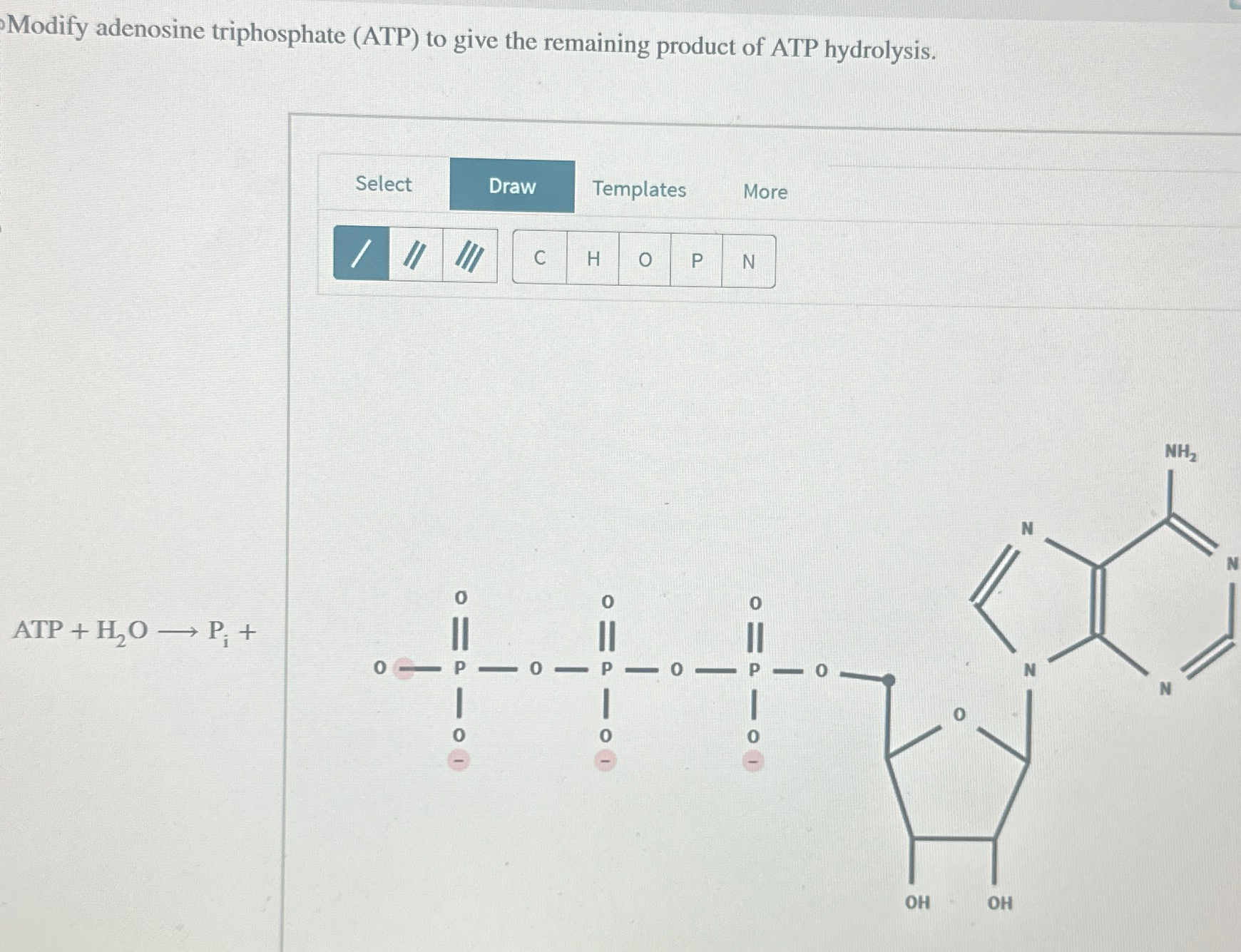 Solved Modify adenosine triphosphate (ATP) ﻿to give the | Chegg.com
