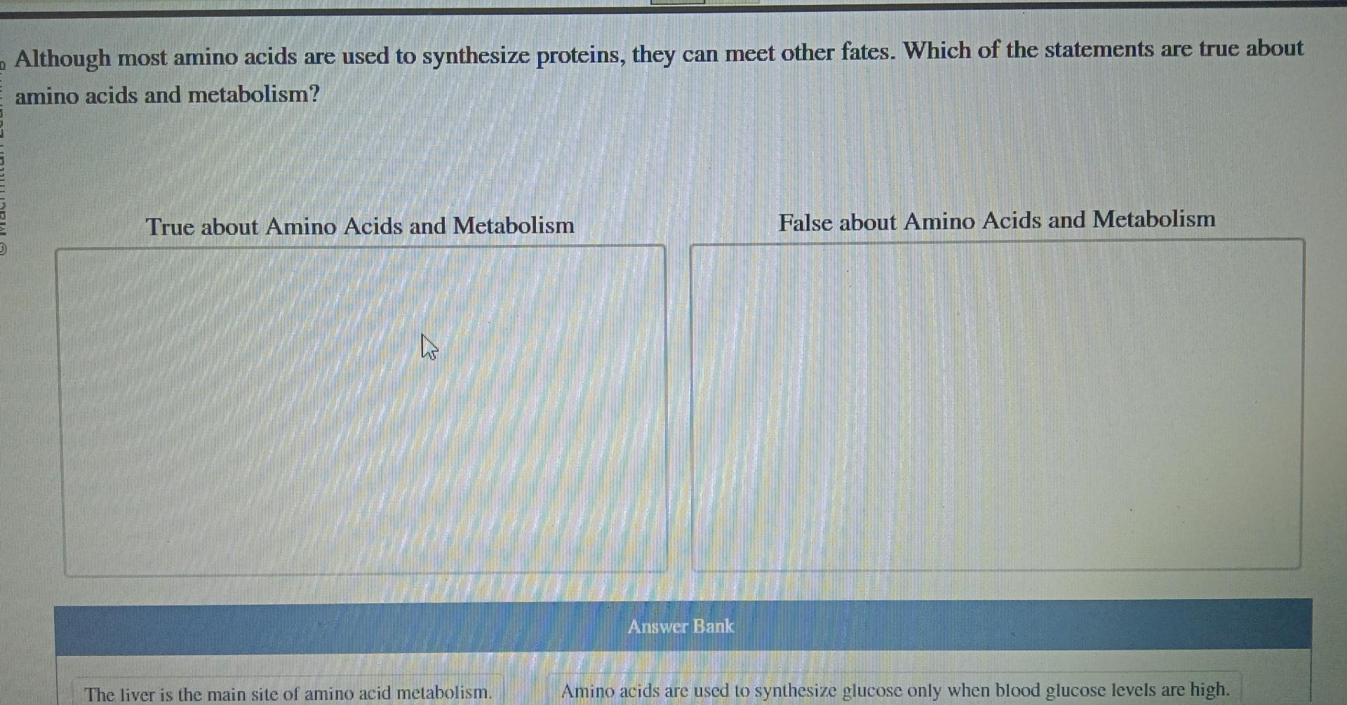 Solved Put statements about amino acids and metabolism in | Chegg.com