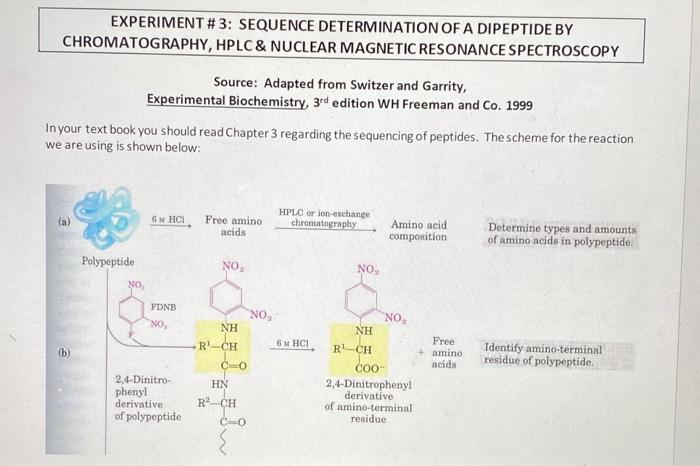Solved EXPERIMENT #3: SEQUENCE DETERMINATION OF A DIPEPTIDE | Chegg.com