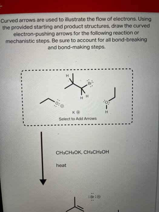 Solved Draw all elmination products that could be formed in | Chegg.com
