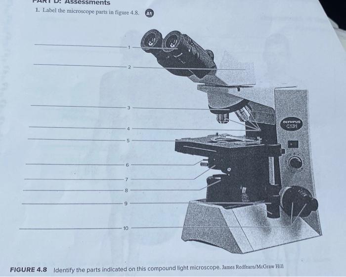 1. Label the microscope parts in figur ⊥ o FIGURE 4.8 | Chegg.com