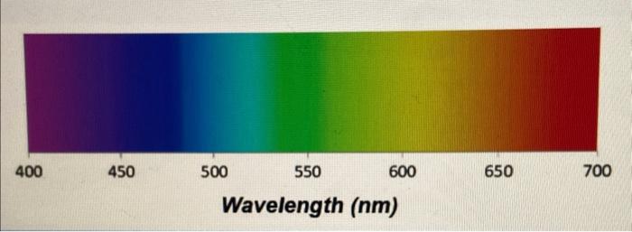 Solved 400 450 500 550 600 650 700 Wavelength (nm) | Chegg.com
