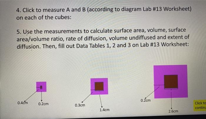 Experiment 1 - Cell Size and Diffusion • The question | Chegg.com