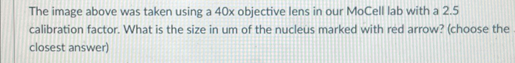 Solved The image above was taken using a 40 ﻿x objective | Chegg.com