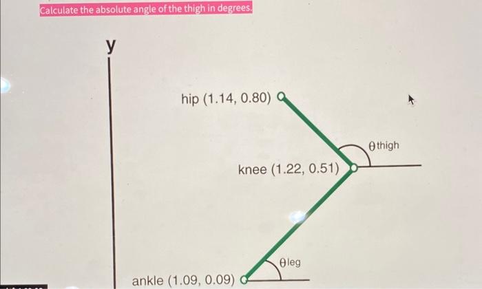 Solved Calculate the absolute angle of the thigh in degrees. | Chegg.com Solved Calculate the absolute angle of the thigh in degrees. | Chegg.com