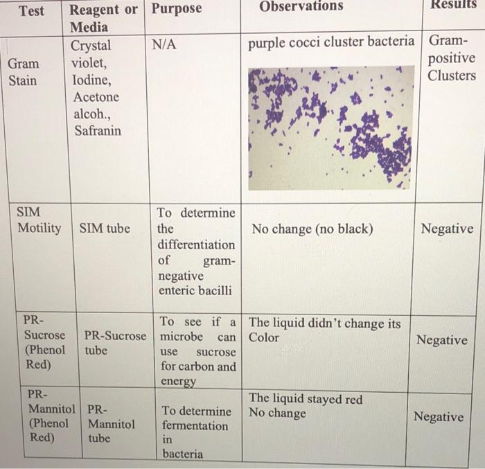 Solved Please draw a dichotomous key for table. | Chegg.com