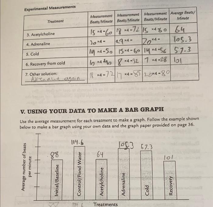 Solved V. USING YOUR DATA TO MAKE A BAR GRAPH Use the | Chegg.com