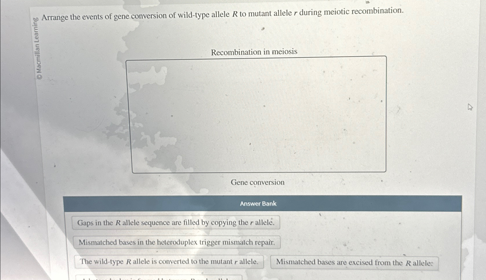 Solved Arrange the events of gene conversion of wild-type | Chegg.com