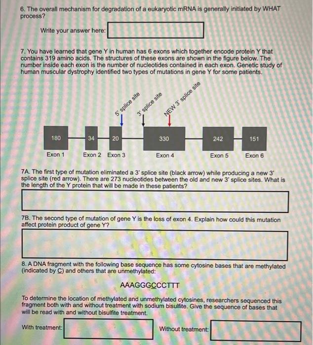 Solved 1. A scientist is studying a gene known as the XYZ | Chegg.com
