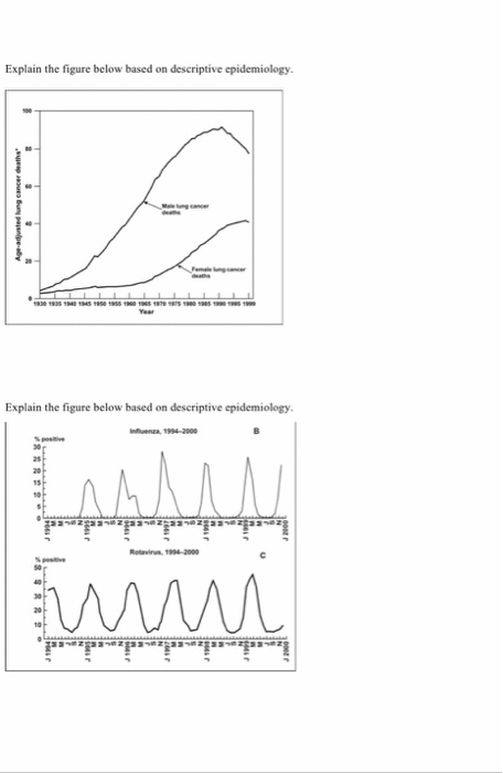 Solved Explain the figure below based on descriptive | Chegg.com