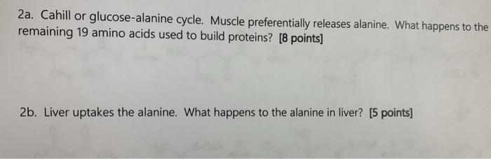 Solved 2a. Cahill or glucose-alanine cycle. Muscle | Chegg.com