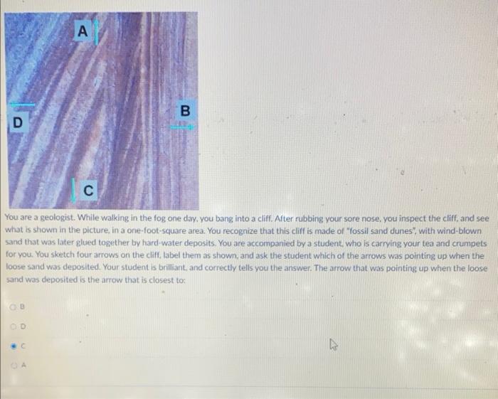 Solved You are a geologist. While walking in the fog one | Chegg.com