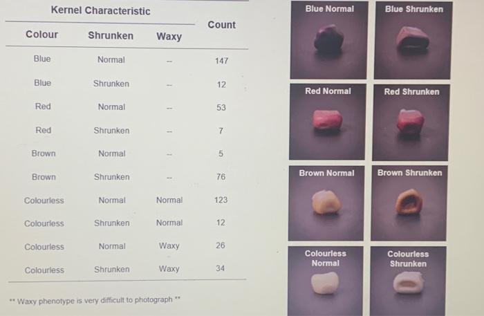 Solved Again working only within the coloured class of | Chegg.com