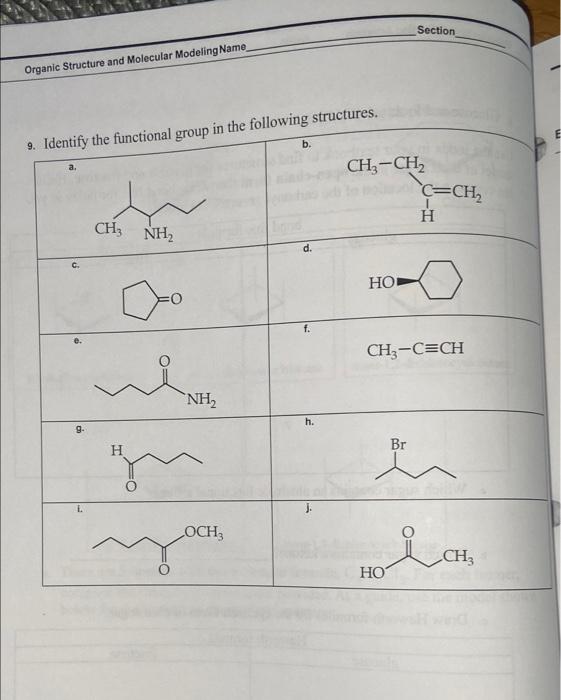 Solved Section Organic Structure and Molecular Modeling Name | Chegg.com