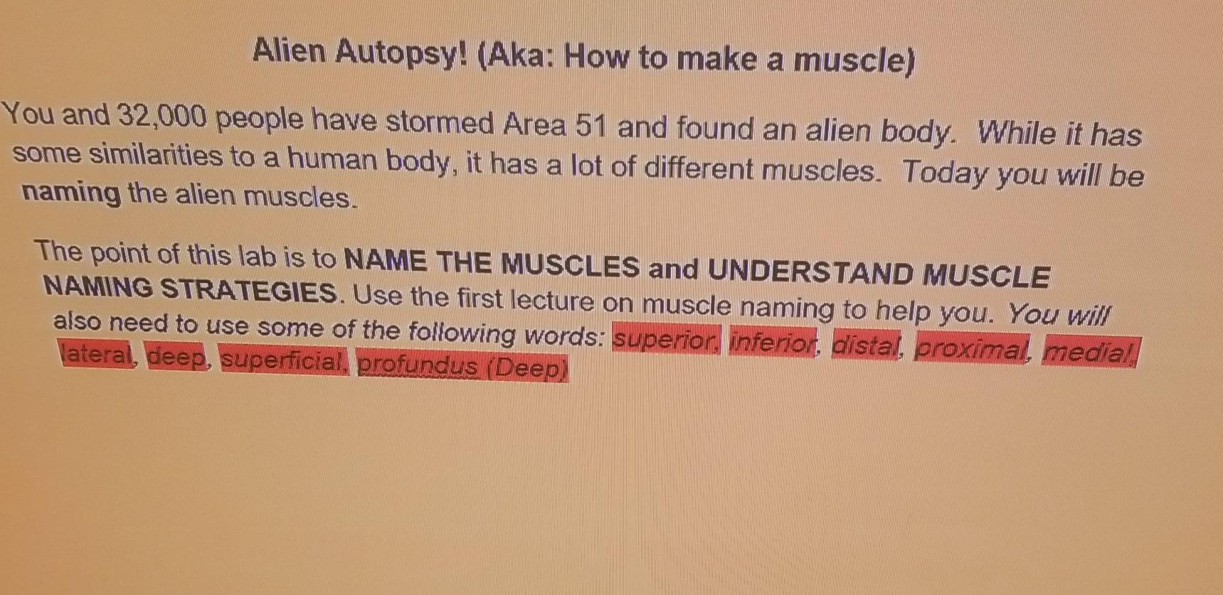 Alien Autopsy! (Aka: How to make a muscle) You and | Chegg.com