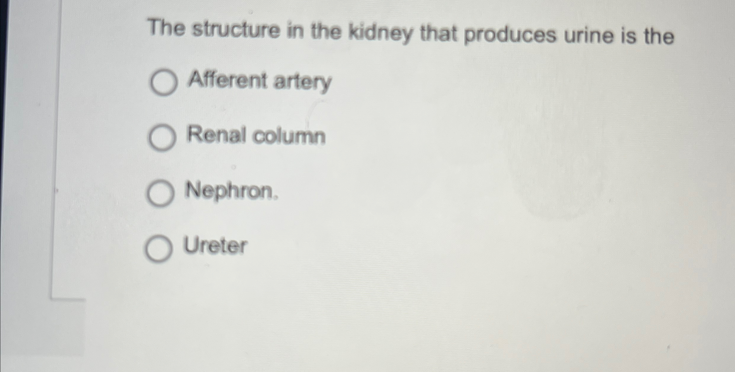 Solved The structure in the kidney that produces urine is | Chegg.com