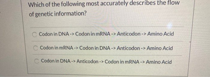 Solved Which of the following most accurately describes the | Chegg.com