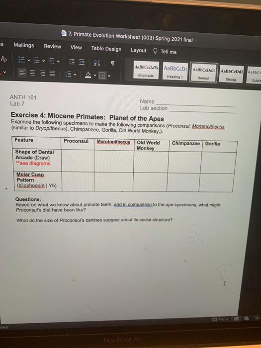 17. Primate Evolution Worksheet (003) Spring 2021 | Chegg.com