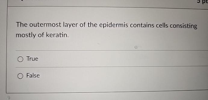 Solved The outermost layer of the epidermis contains cells | Chegg.com