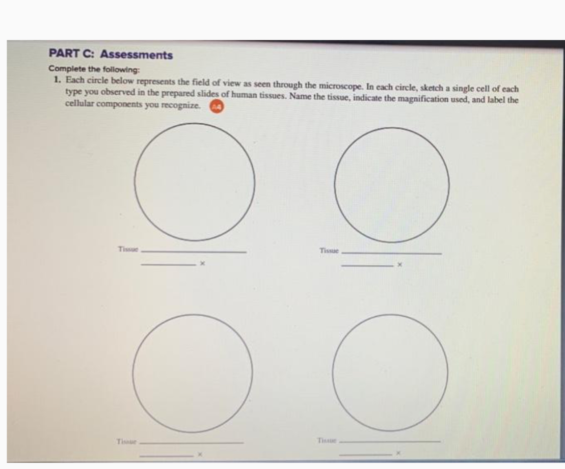 help draw a sketch please w labelsPART C: | Chegg.com