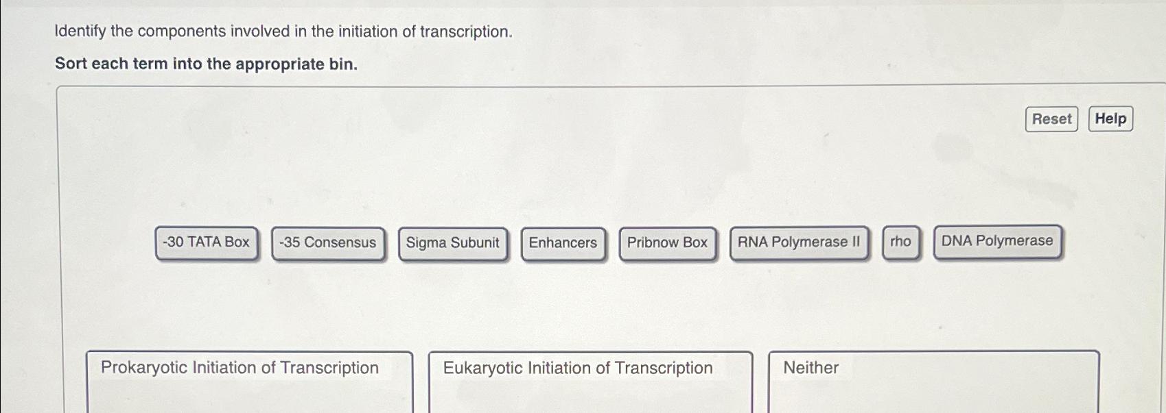 Solved Identify the components involved in the initiation of | Chegg.com