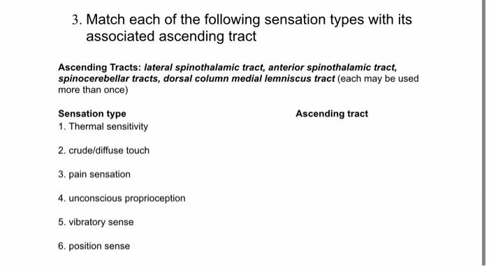 Solved 3. Match each of the following sensation types with | Chegg.com