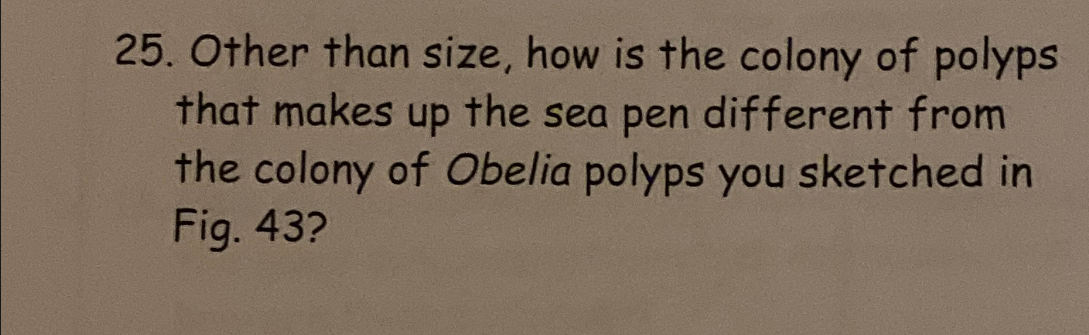 Solved Other than size, how is the colony of polyps that | Chegg.com