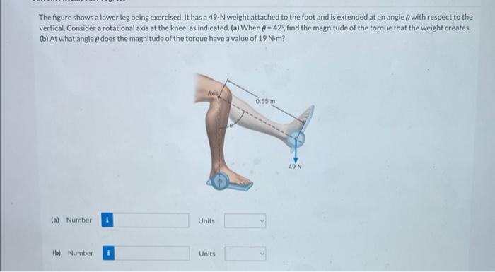 Solved The figure shows a lower leg being exercised. It has | Chegg.com