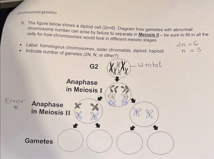 Solved Chromosomal genetics 6. The figure below shows a | Chegg.com