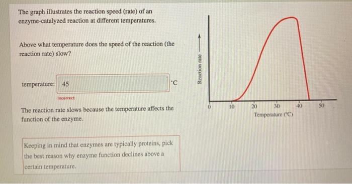 Solved The graph illustrates the reaction speed (rate) of an | Chegg.com