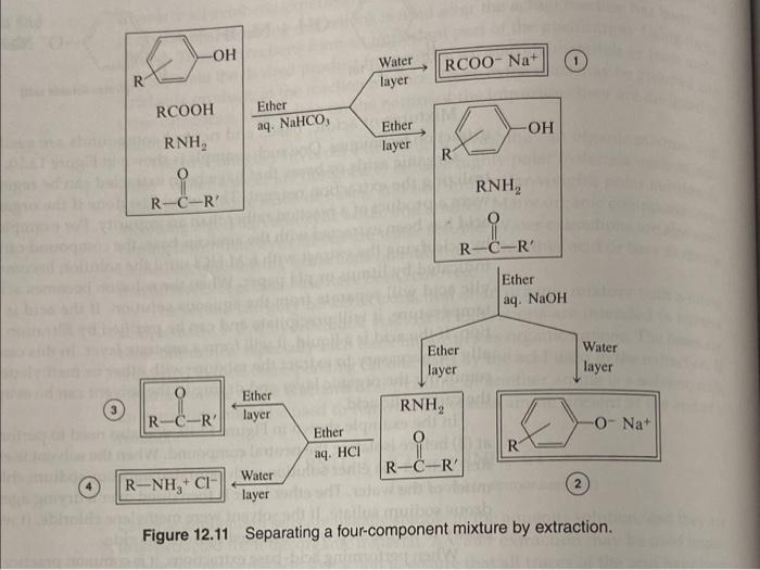 Solved pls help!2. Write an equation to show how you could | Chegg.com