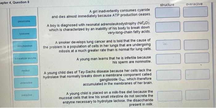 Solved And dies almost immediately hecauso ATP nroduction | Chegg.com