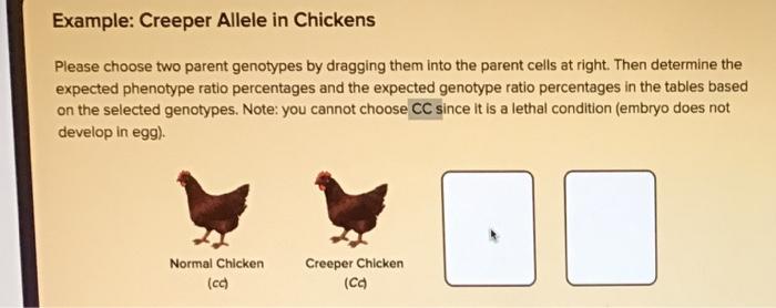Solved Example: Creeper Allele in Chickens Please choose two | Chegg.com
