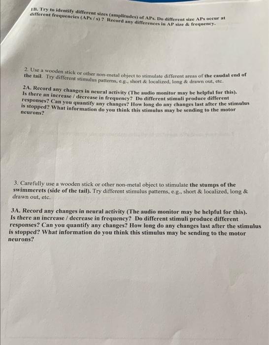 Solved 18. Try to identify different sizes (amplitudes) of | Chegg.com