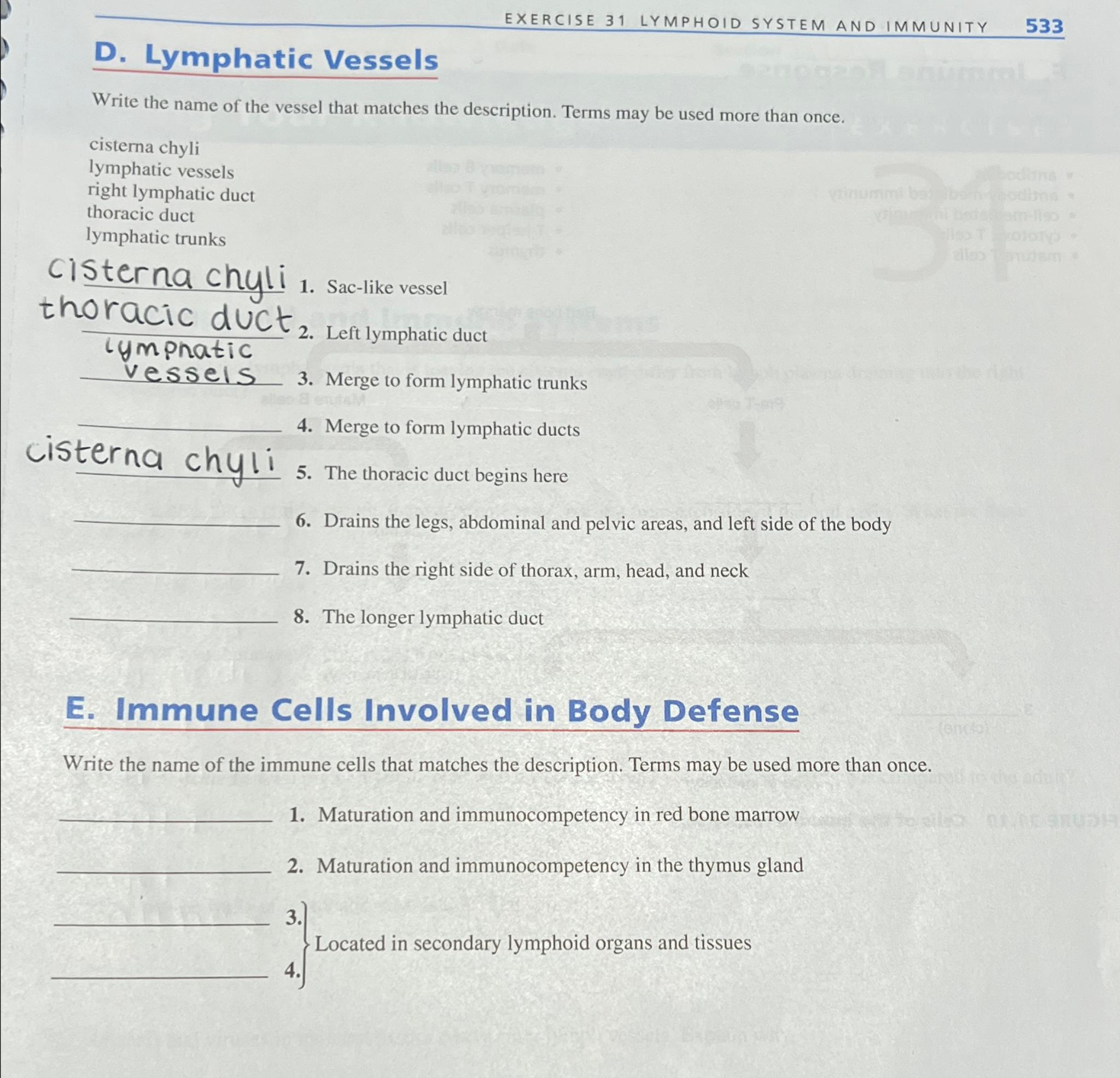 Solved EXERCISE 31 ﻿LYMPHOID SYSTEM AND IMMUNITY533D. | Chegg.com